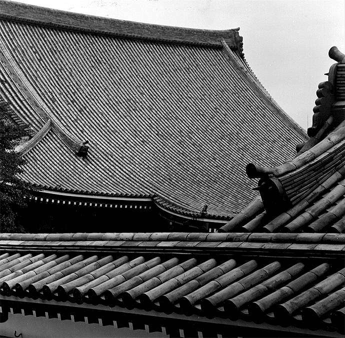 Rolleinar 150mm F4